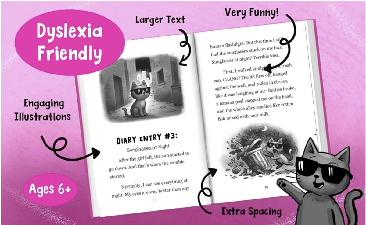 Diary of a Famous Cat 5 Book Box Set – Diane Alber